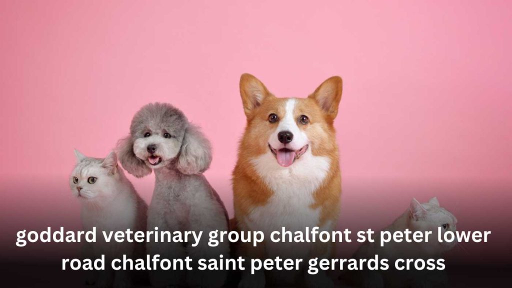 goddard veterinary group chalfont st peter lower road chalfont saint ...